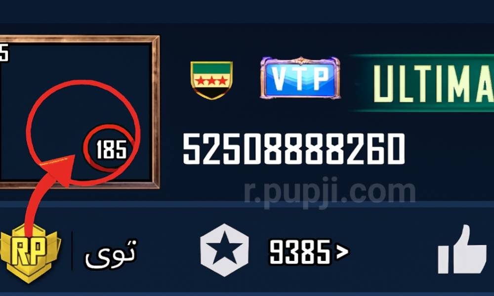 شاهد مستوى ببجي كم وصلت به – معلومة جديدة